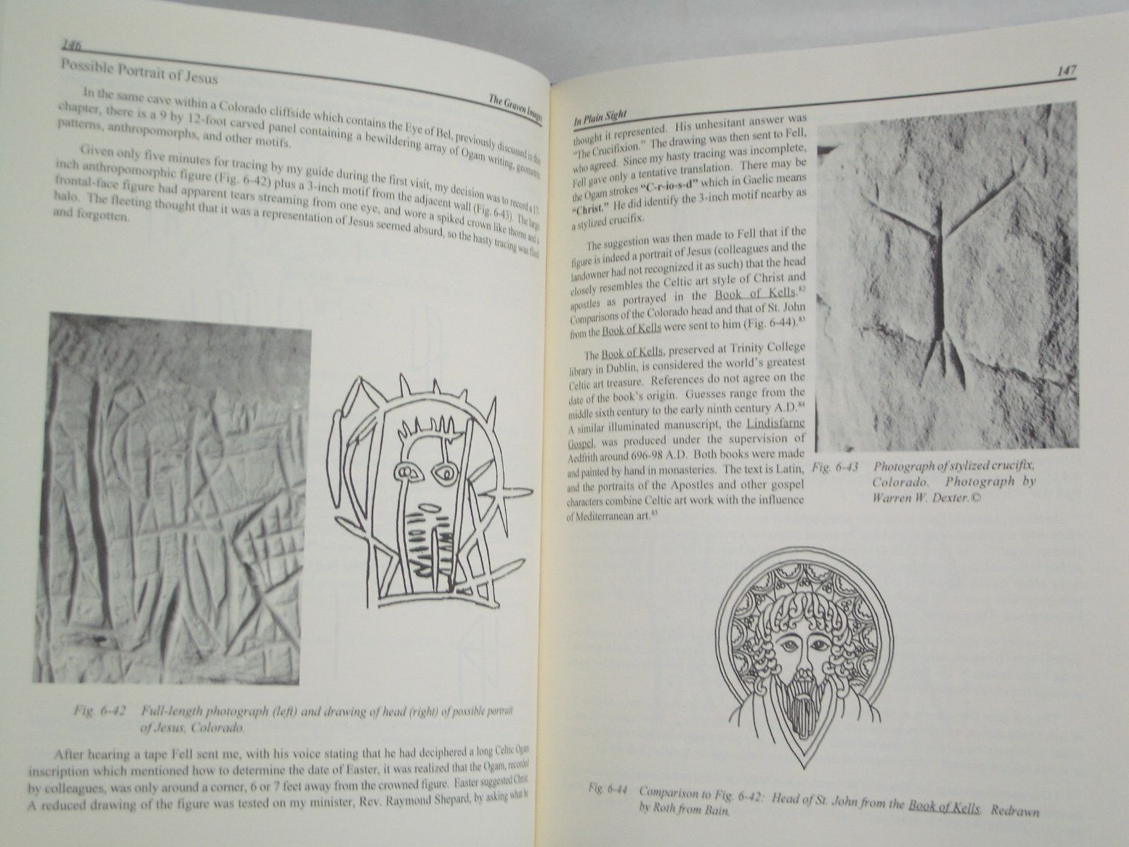 In Plain Sight: Old World Records in Ancient America by Farley, Gloria ...