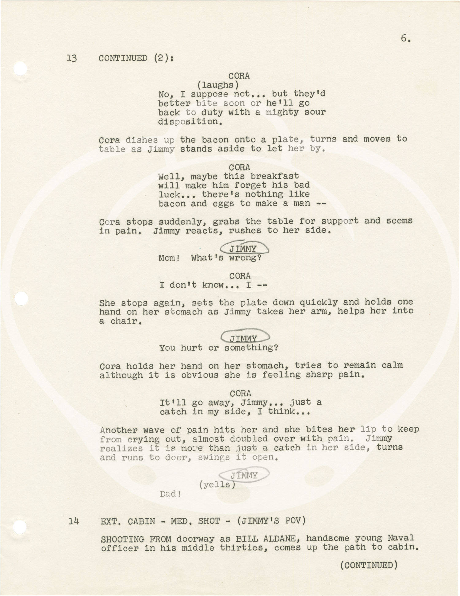 Whirlybirds: Panic at Green Ridge (Original screenplay for the 1957 ...